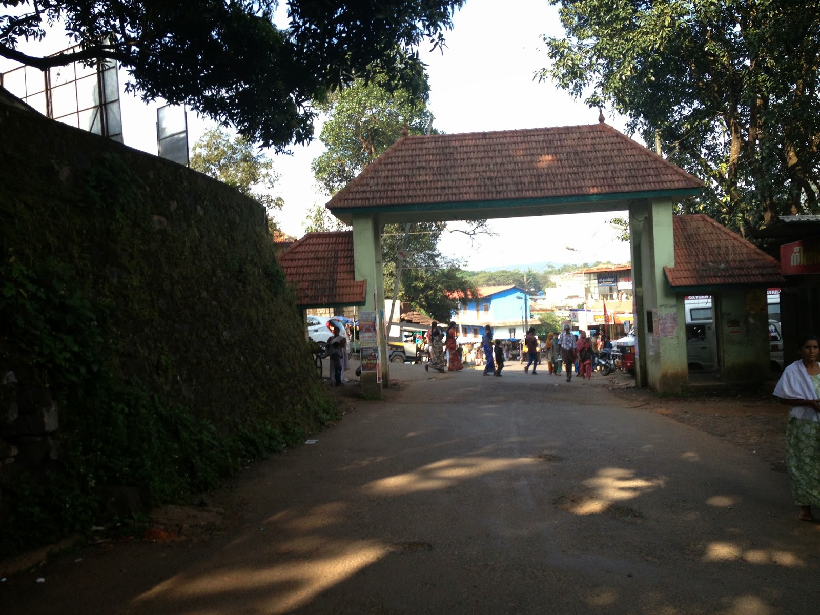 Jeevan's KALLI VALLI : The killer of the wayanad : A walk back ,Man and ...