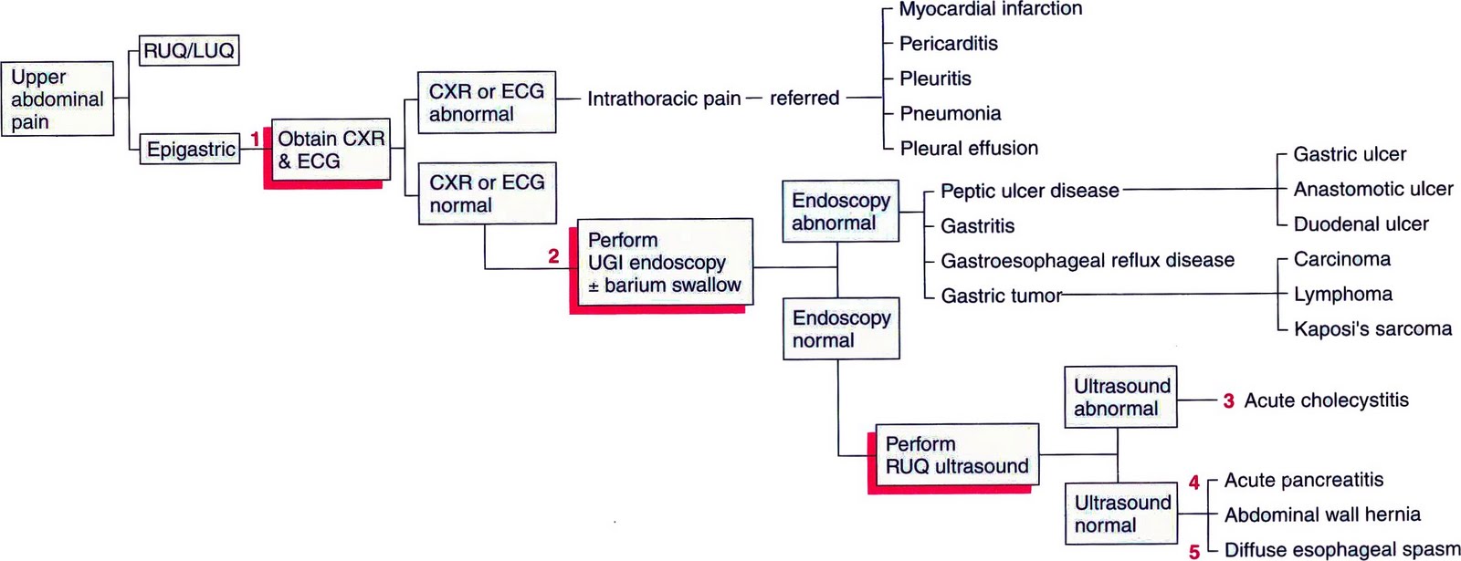 老衲的部落: Abdominal Pain