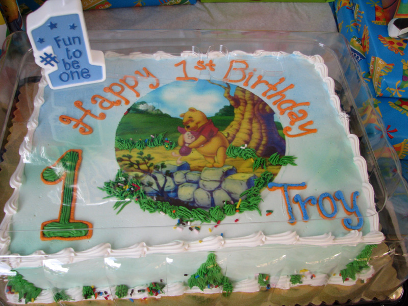 The Bell Curve of Life: Troy's First Birthday: The Cake
