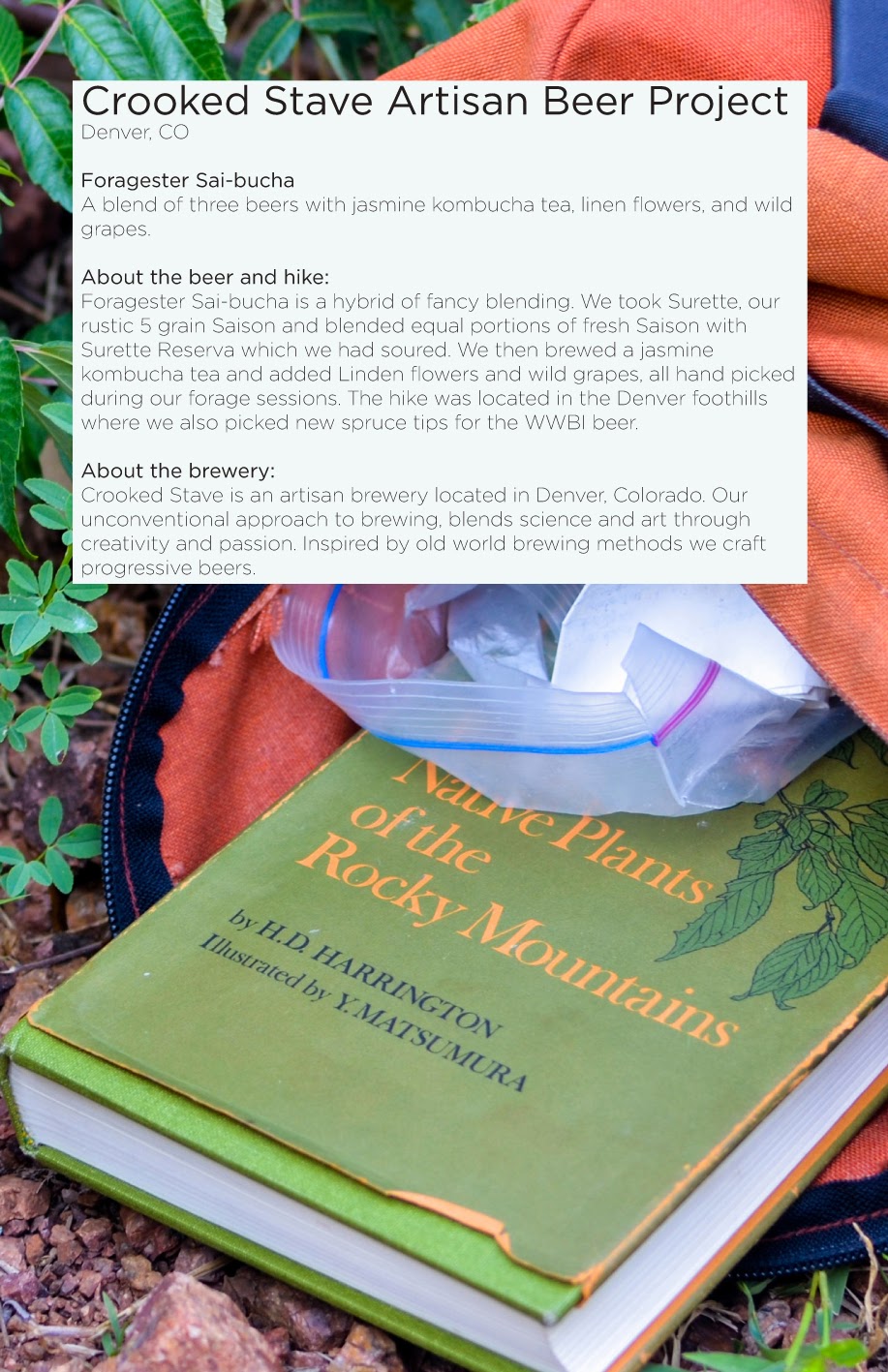 The Walking Encyclopaedia: The Walking Encyclopaedia's Walking Artists ...