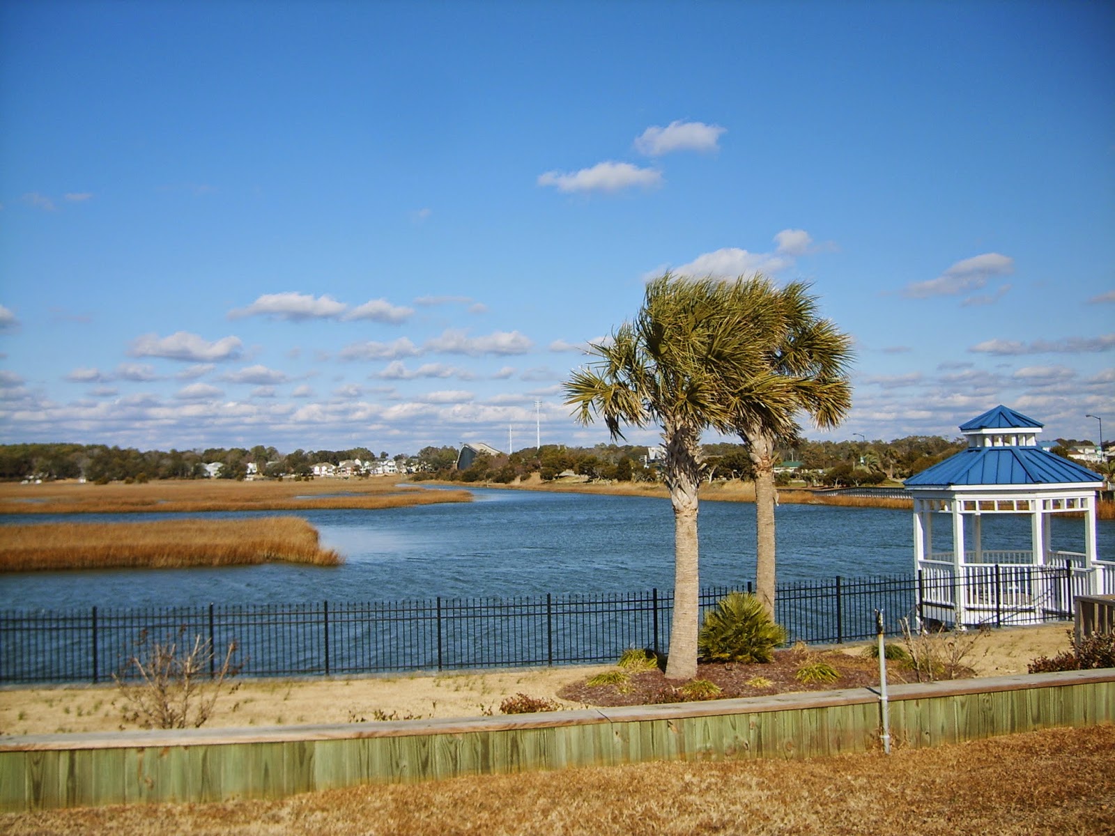 runjoey: Ocean Isle Beach Bridge Run for Food Half Marathon