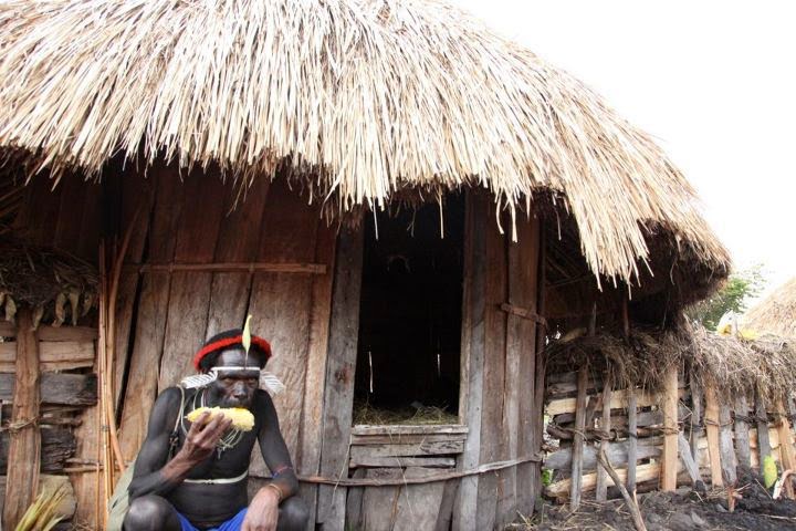 rumah adat papua: Gambar Rumah Honai Papua