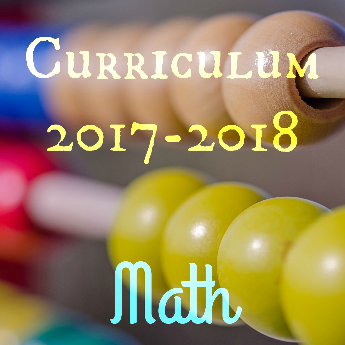 Curriculum This Year: Math