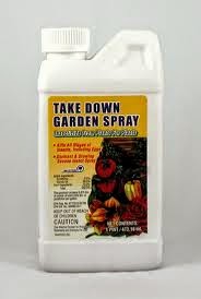 Xtremehorticulture of the Desert: Get Ready for the Leaffooted Plant ...