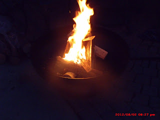 A Lucky Ladybug: Ohio Flame Patriot Fire Pit Review (reposted)