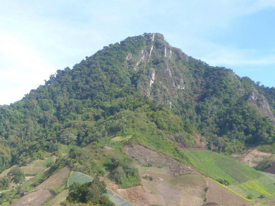 Culturama: DESDE LA CUMBRE DEL CERRO PUNTA...