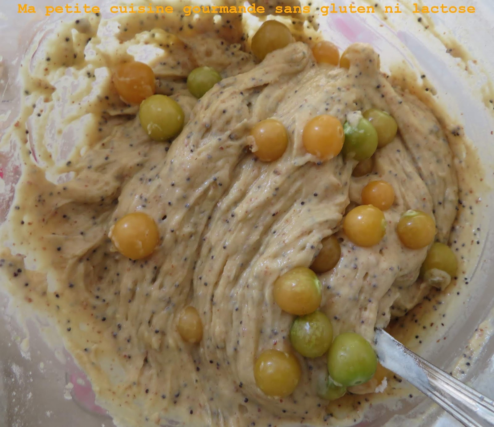 Cake aux physalis fraîches et aux graines de pavot sans gluten ni lactose - Ma petite cuisine ...