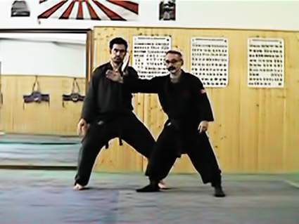 NINJUTSU 忍術: TÉCNICAS 技