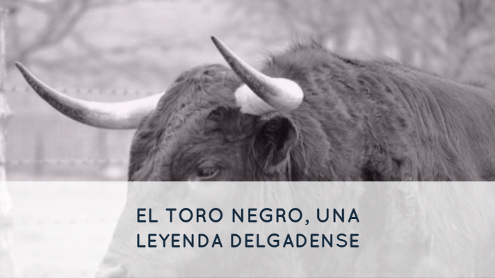 El Toro Negro, una Leyenda Delgadense - Delgado City