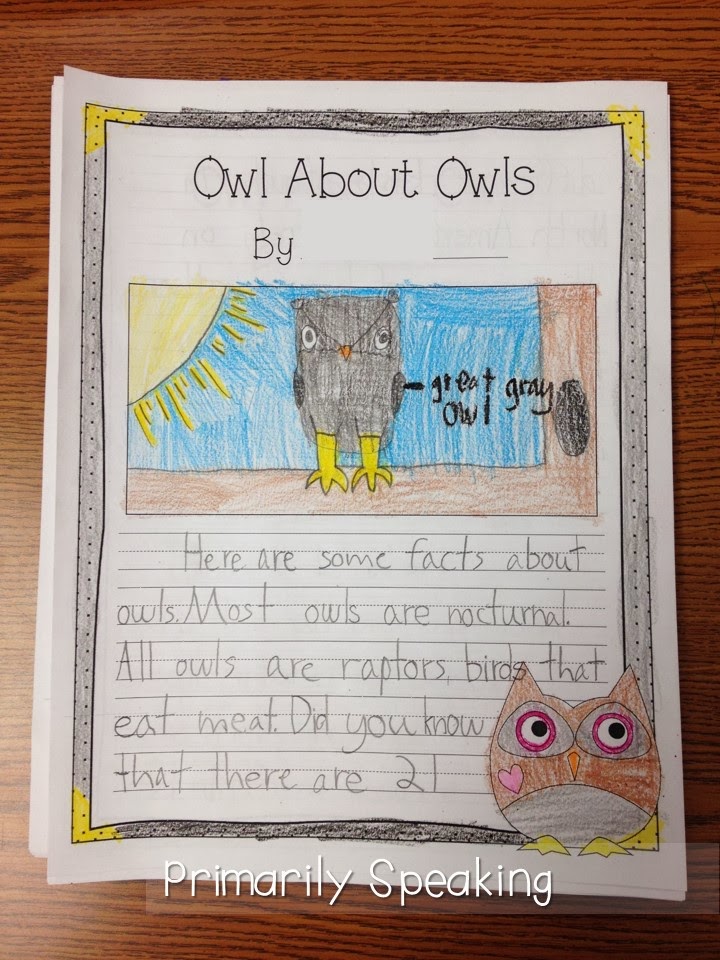 Whoooo Loves Owls? | Primarily Speaking