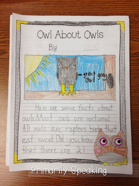 Whoooo Loves Owls? | Primarily Speaking