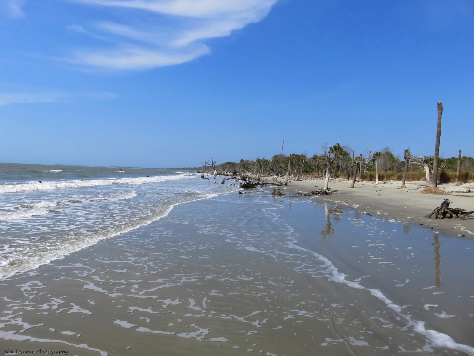 Vacation Rick: Charleston's Chain Of Beautiful Barrier Island Beaches ...