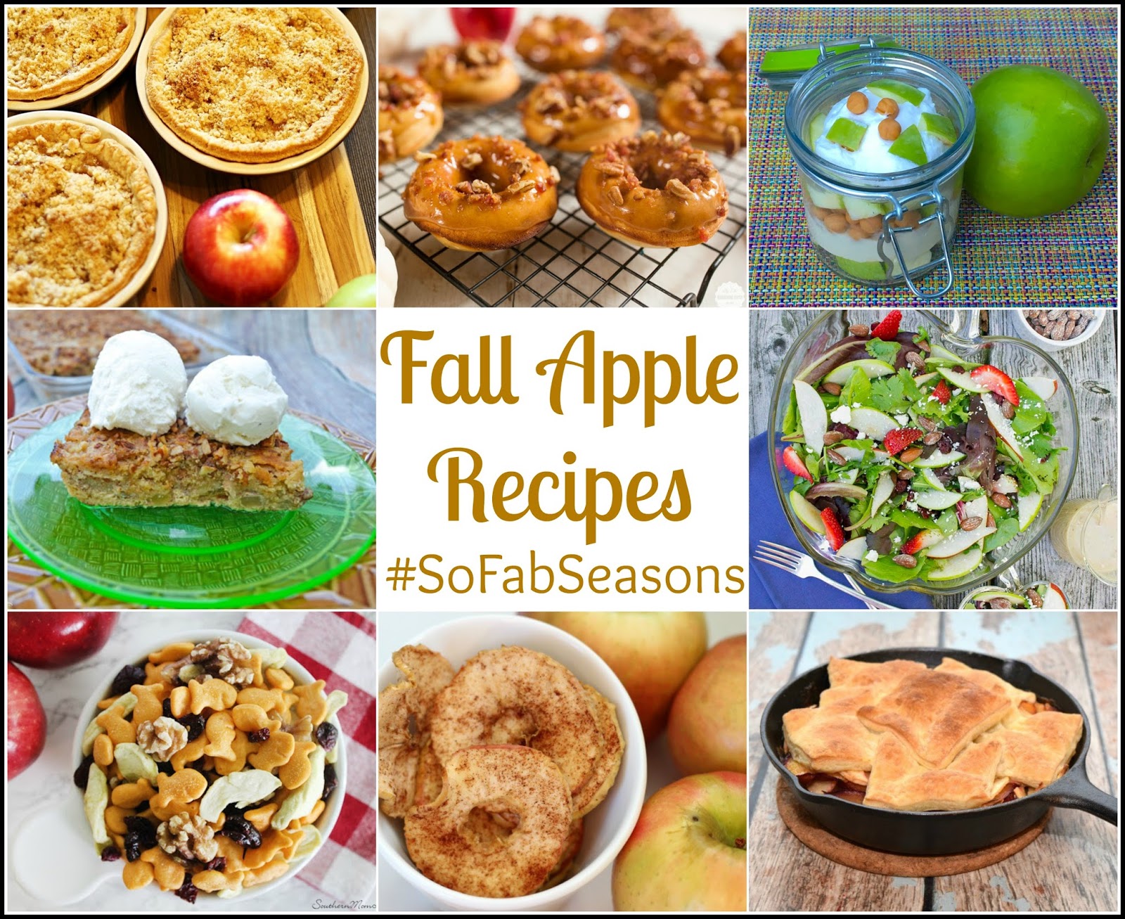 60+ Best Apple Recipes and Activities for Fall