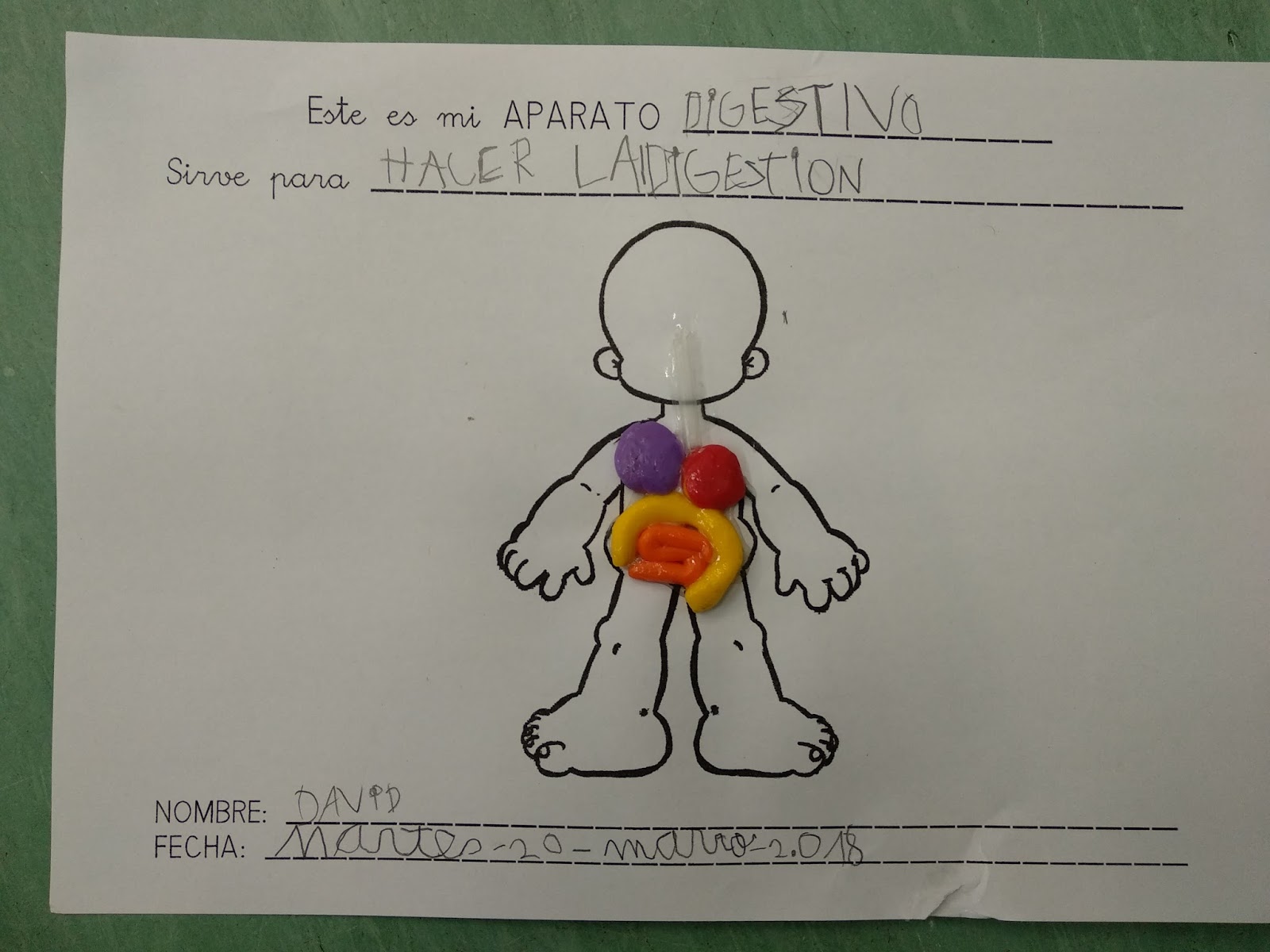 Juntos descubrimos el mundo: PROYECTO "EL CUERPO HUMANO"