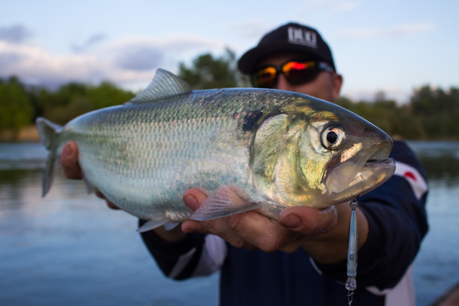 Raúl Marti : LA PESCA DE LA SABOGA