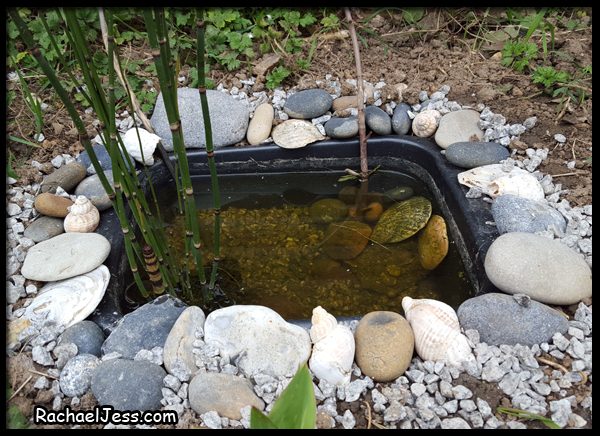 Creating a pond for children - Lifestyle & DIY blogger with a geeky ...