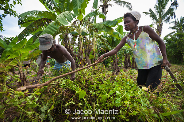 AETA PEOPLE: ONE OF THE FIRST AFRICAN NATIVES OF ASIA AND THE ORIGINAL ...
