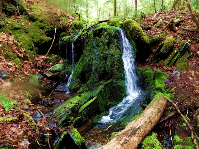 WATERFALLS OF NOVA SCOTIA