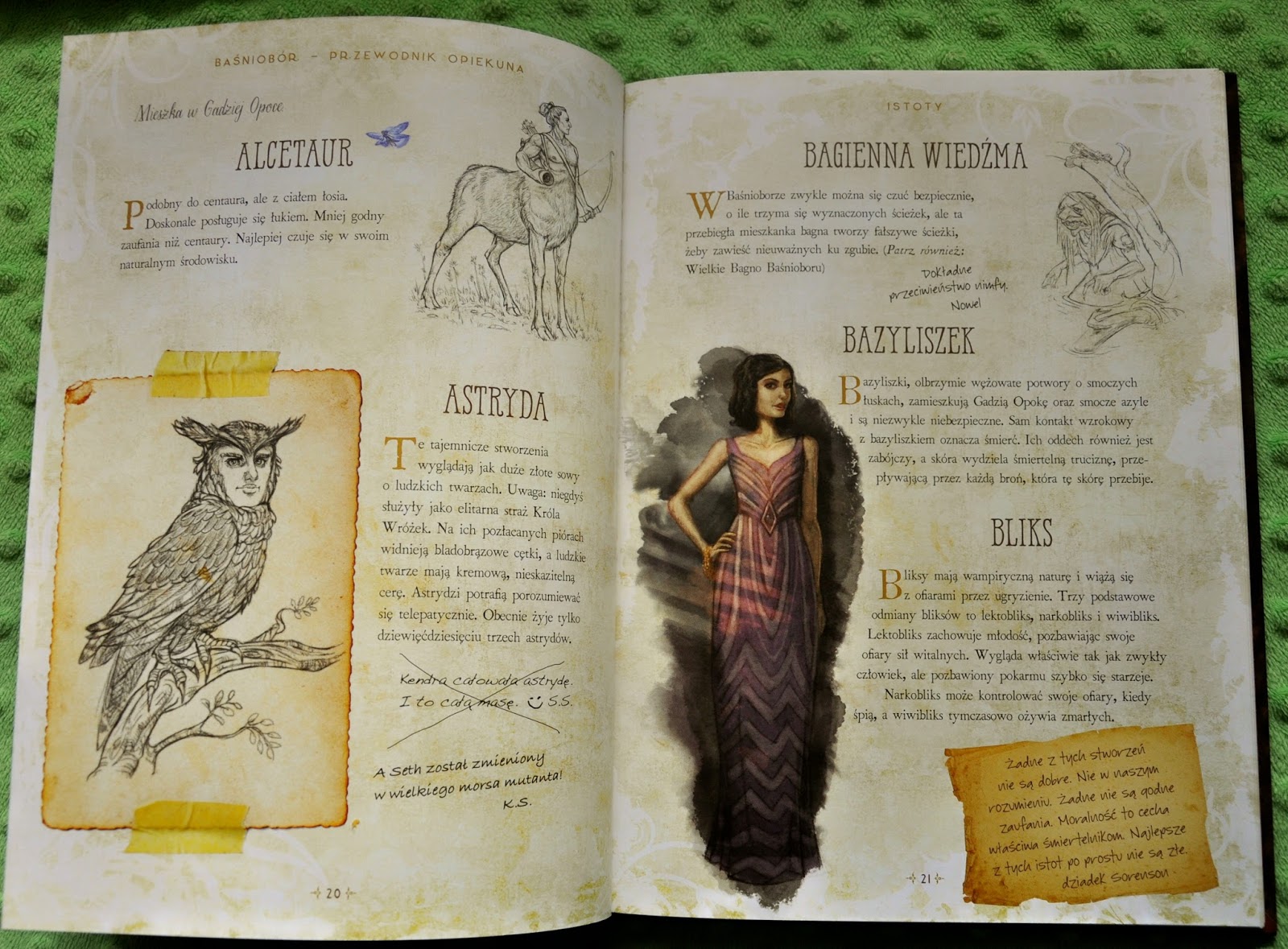 Baśniobór. Przewodnik opiekuna. | Ala z Krainy Książek