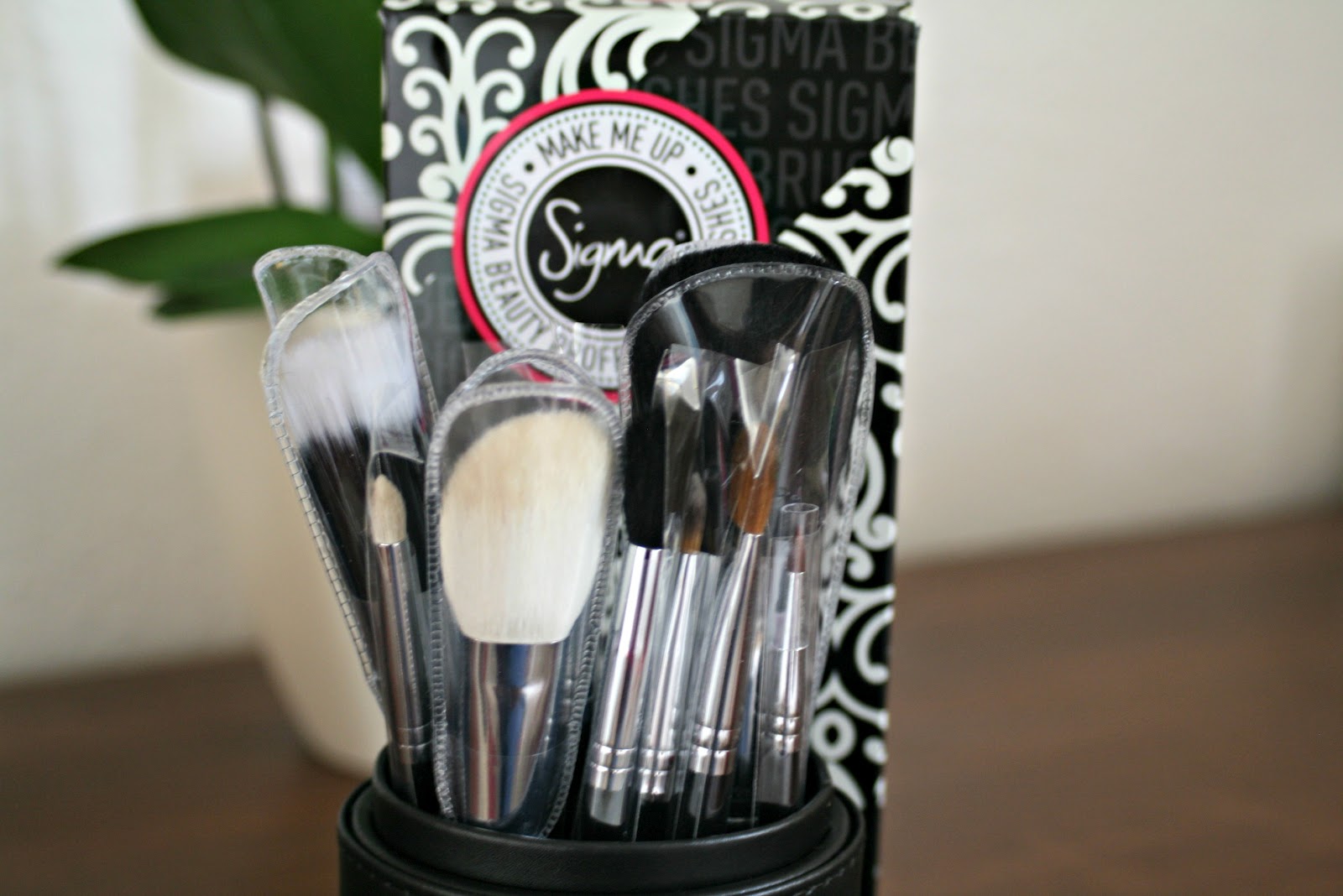 Moonshine: Sigma Make Me Classy Brush Set Initial Thoughts/Review