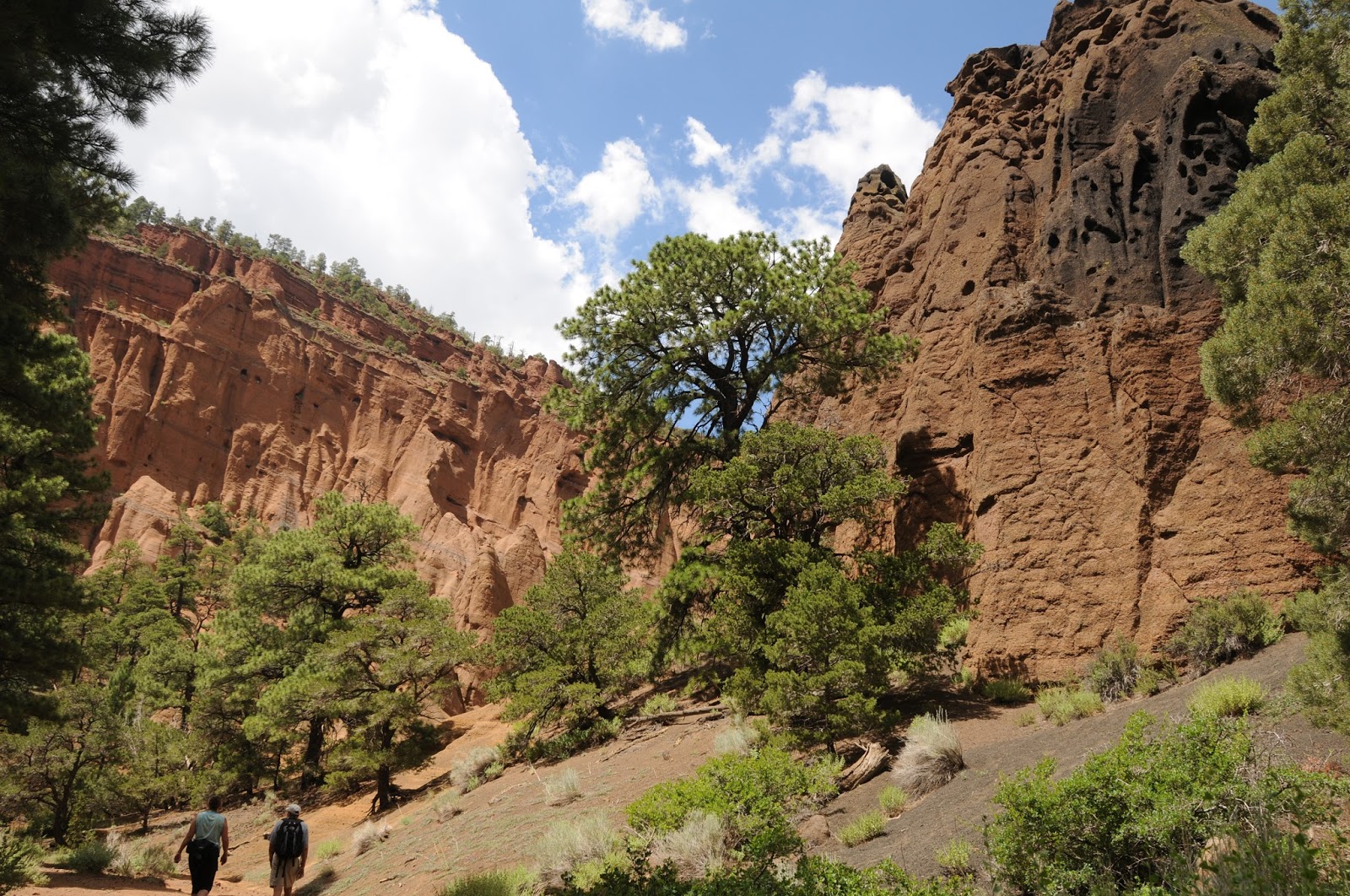 Arizona Hiking: RED MOUNTAIN TRAIL