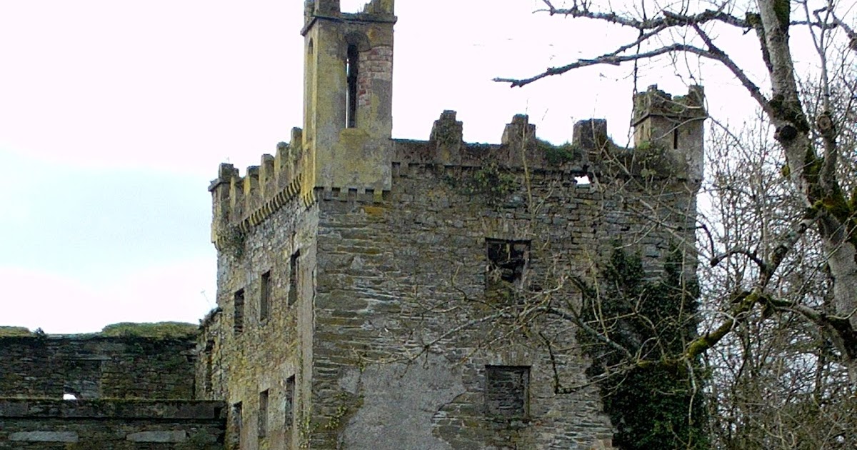 Ireland In Ruins: Moone Mill Co Kildare