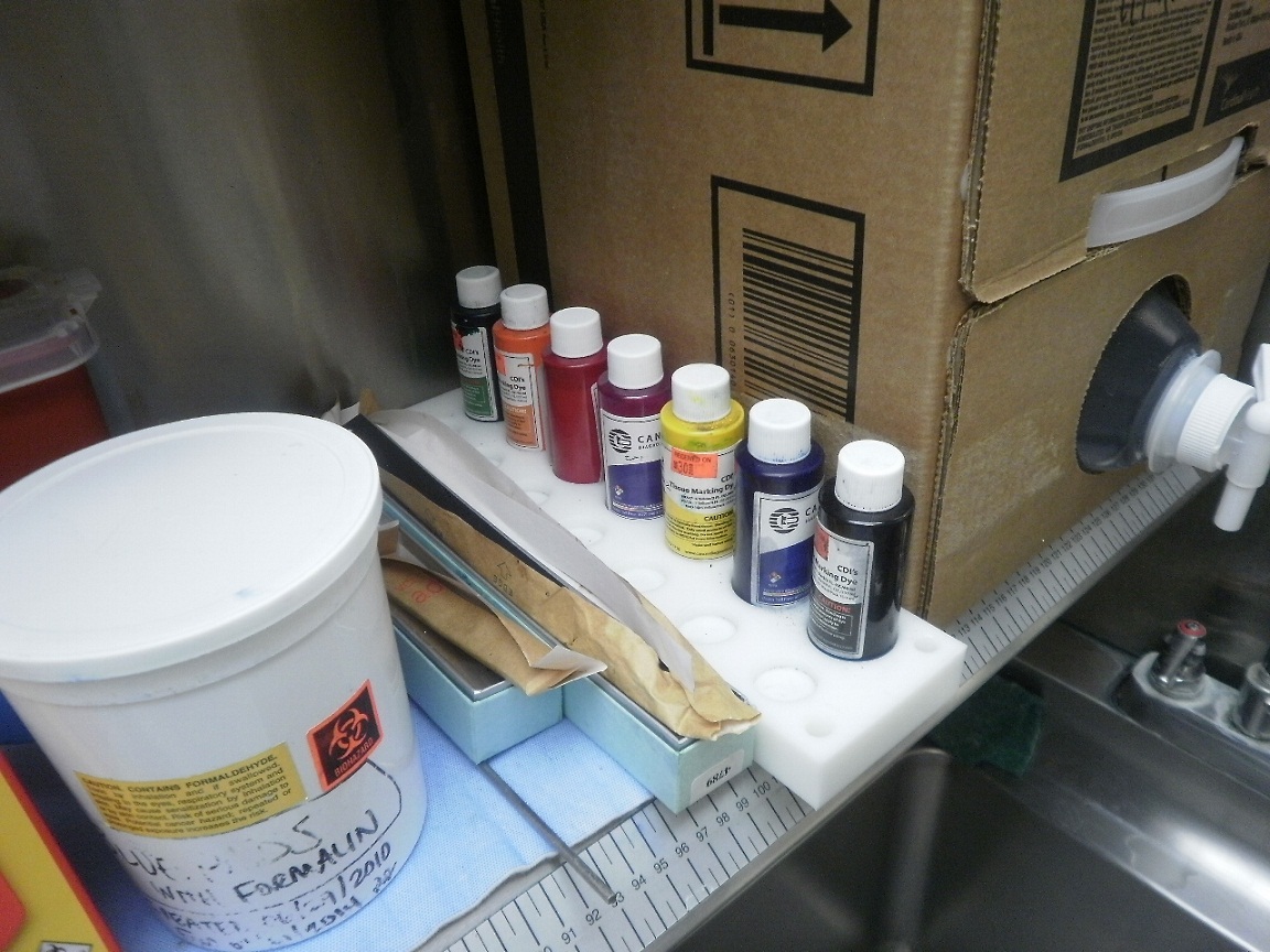 The Making of a Pathologists' Assistant: A Trip to the Pathology ...