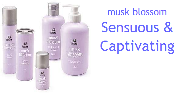 MUSK BLOSSOM MEMANG AWESOME!!!