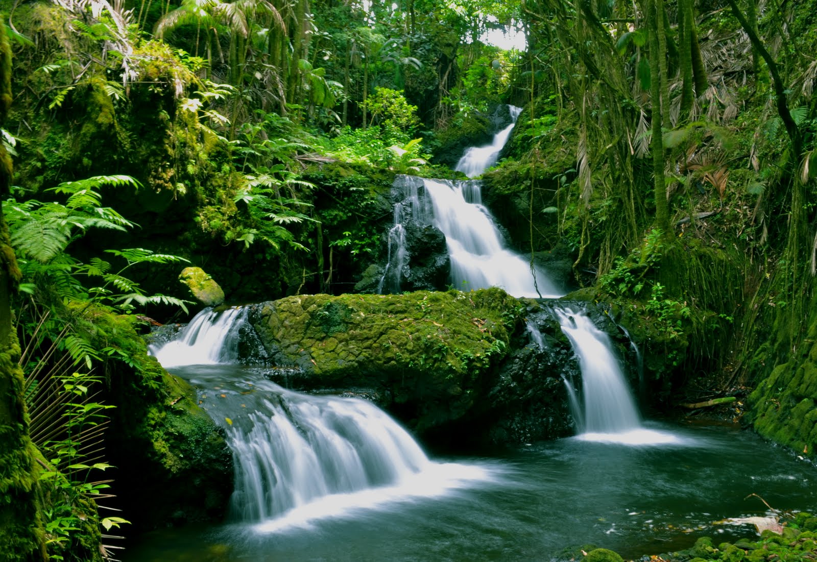 Hawaiian Landscape Photography