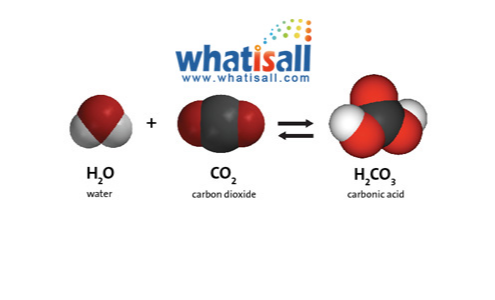 The Science of the Planet: Ocean Acidification