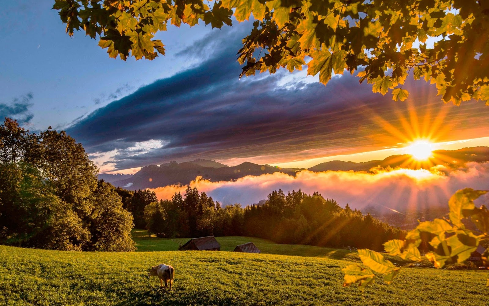 Resplandor del sol wallpapers