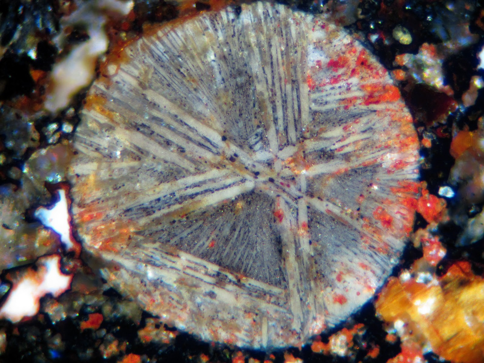 Chondrite - JungleKey.fr Image #300