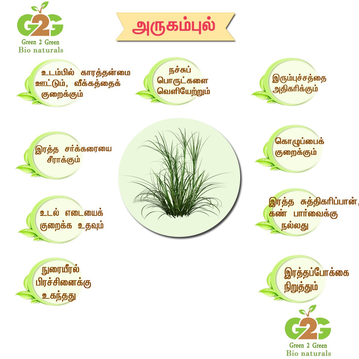 Learning-Living [learning-living.com]: HEALING HERBS : ARUGAMPUL [DURVA ...