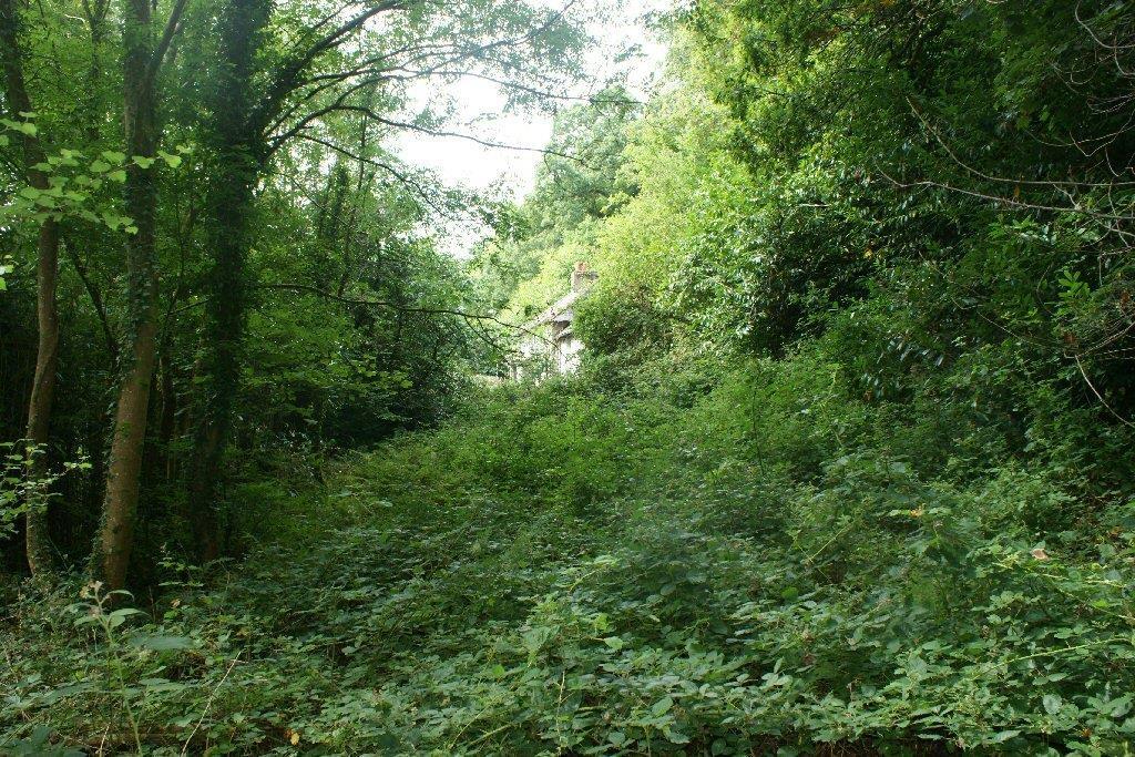 Wreck of the week: Three big renovation challenges, two riverside