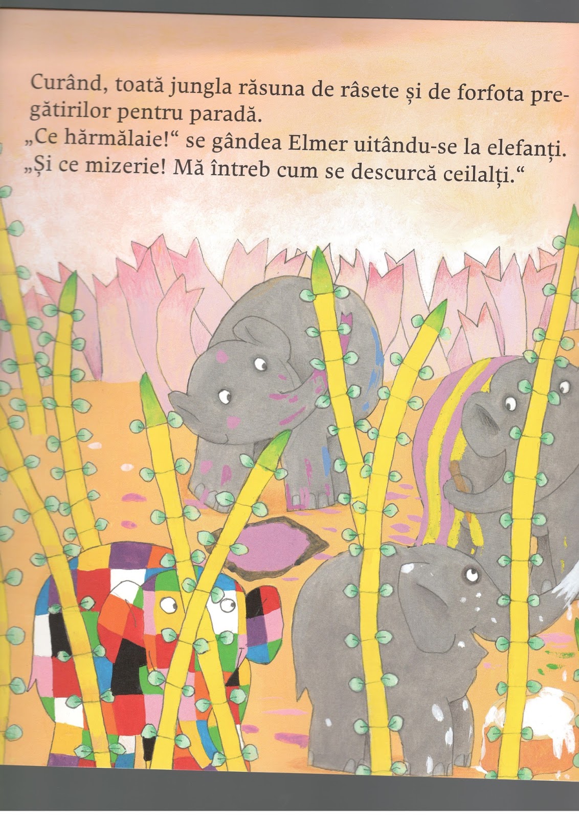 Vremea copilariei: Cartile despre Elefantul Elmer