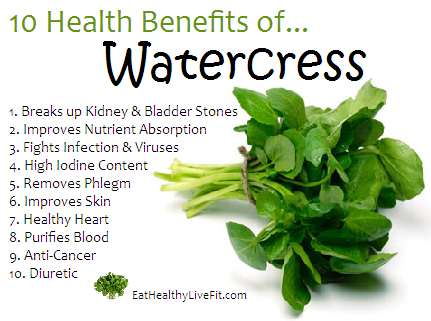 The benefits of watercress - ACHDOX MAG