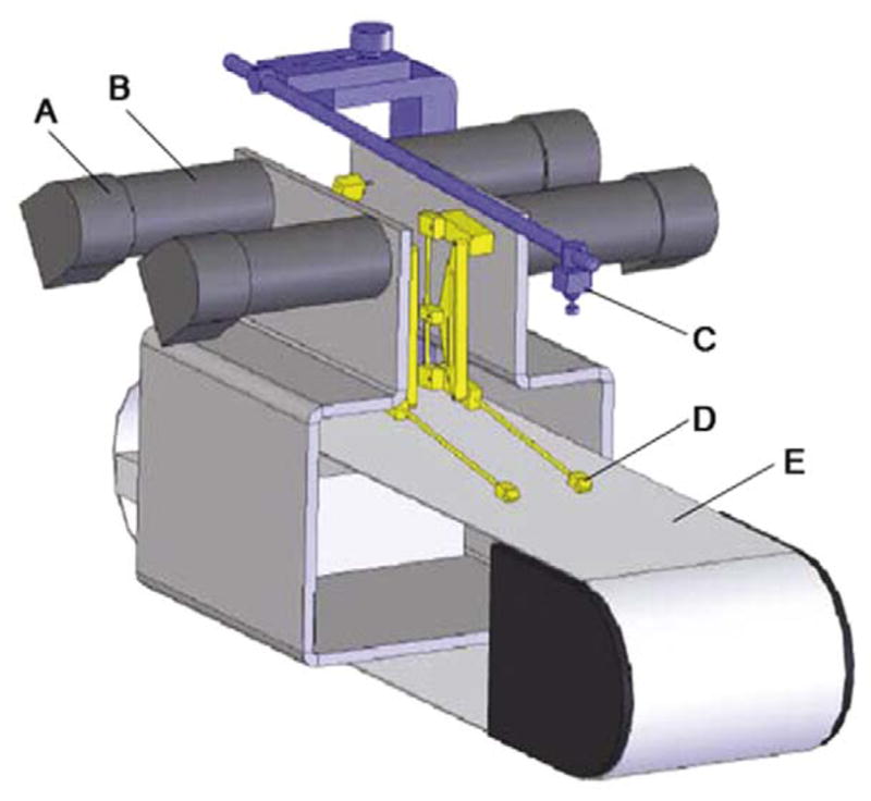 REHABILITACIÓN Y MEDICINA FÍSICA. Mirando al futuro.: Ratas ...