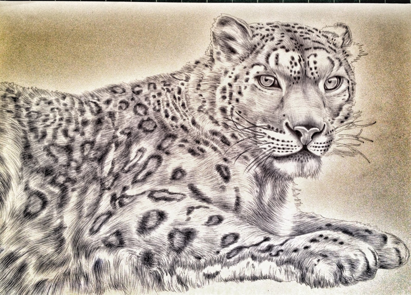 Tim Jeffs Art