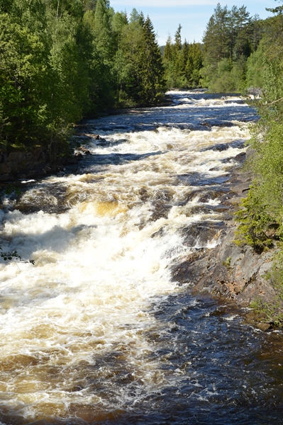 Sognafaret: Livets elv