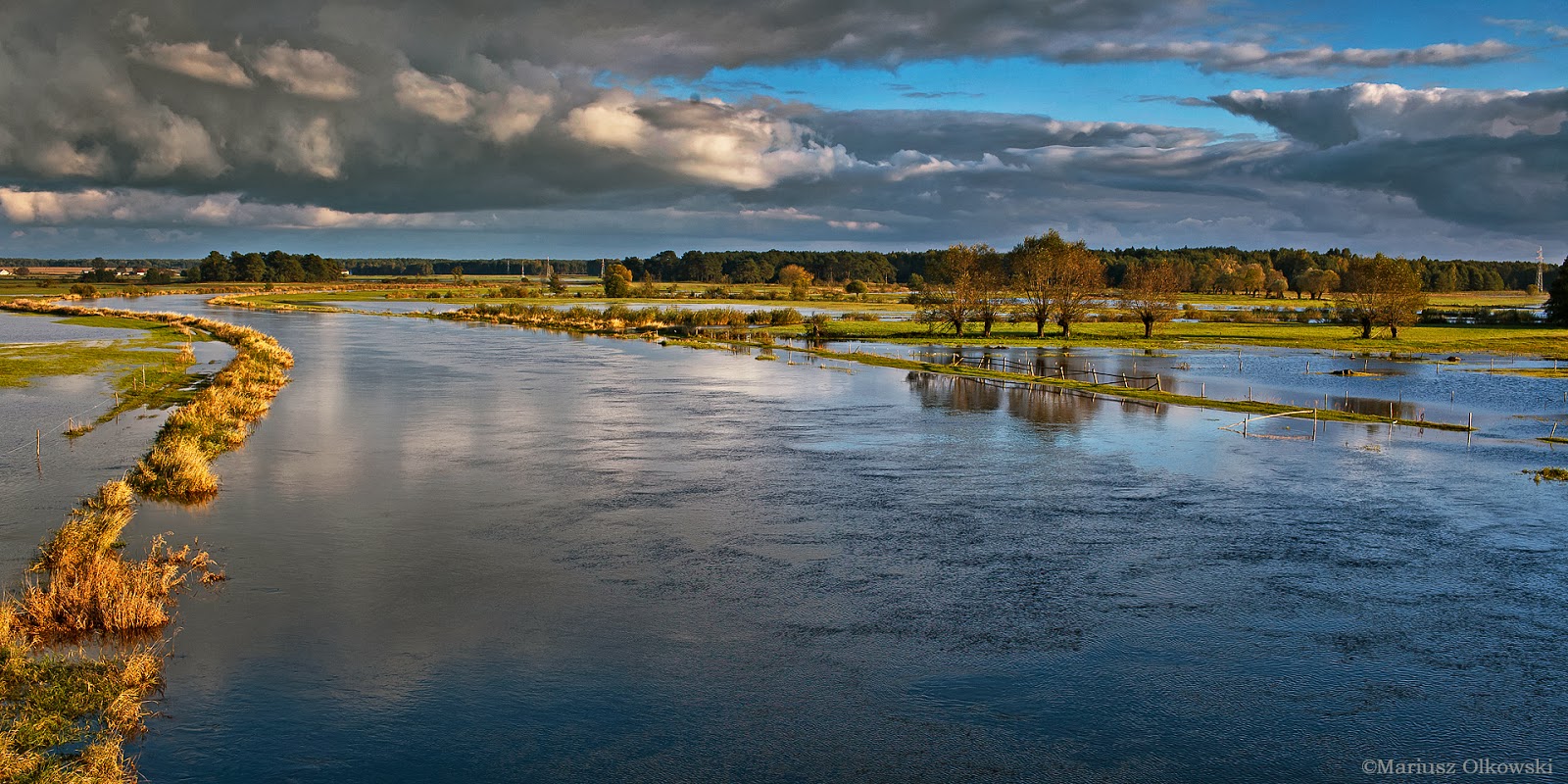 Mariusz Olkowski Fotografie: Narew Biebrza Wissa.
