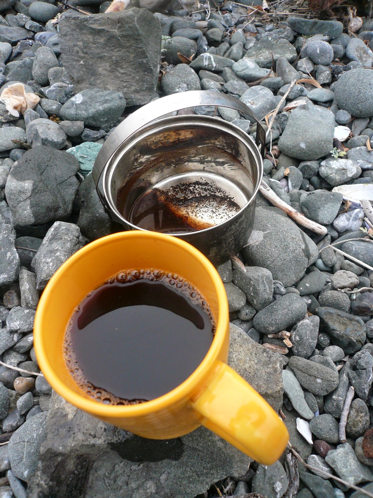 Countryman: Foraging California's Wild Side: Lean-to on the North Coast