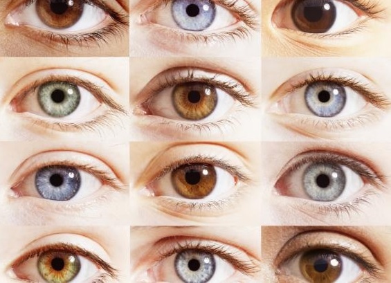 Ingin Merubah Warna Mata ? Coba 10 Makanan ini Dan Lihat Hasilnya Dalam ...