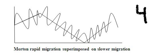 Fiber Migration n Mechanisms causing fiber migration - 4Textile