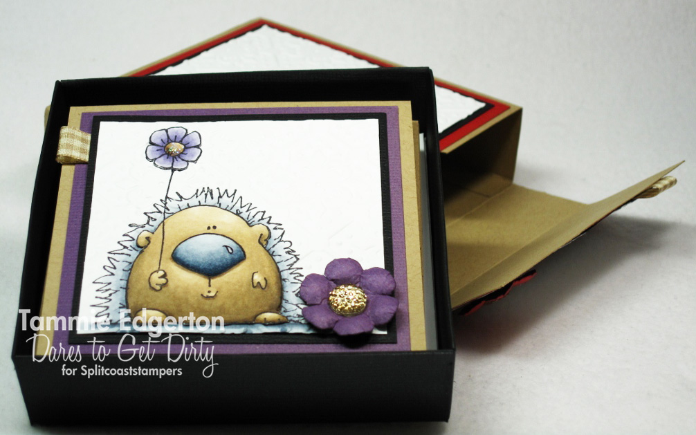 One Happy Stamper...: DTGD13kittie747A - 3 1/2" x 3 1/2" NOTE CARD SET