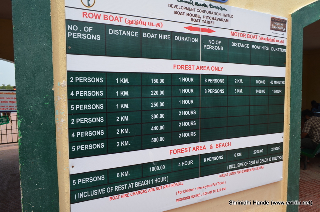 Pichavaram mangrove forest boat ride - eNidhi India Travel Blog