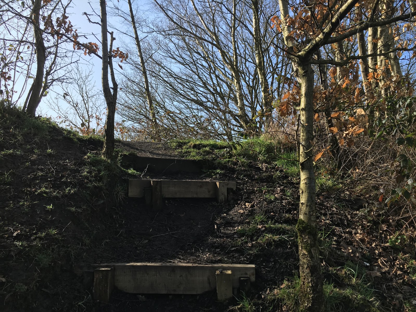 The Bowes Railway Path Spring Walk. - The Geordie Tourist.