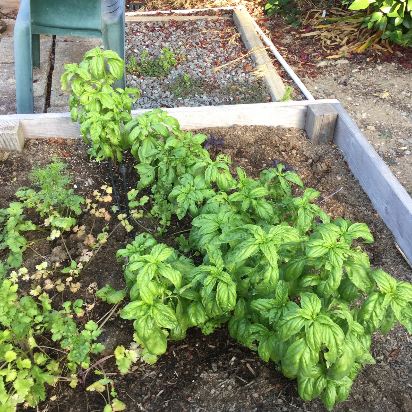 The Gazpacho Diaries