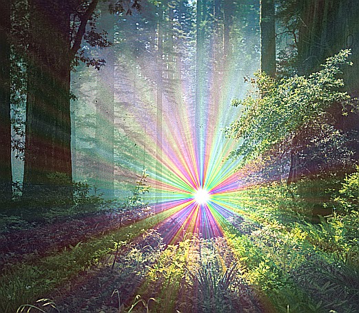 Future and Cosmos: Rendlesham Forest UFO: A Craft From the Year 8100?