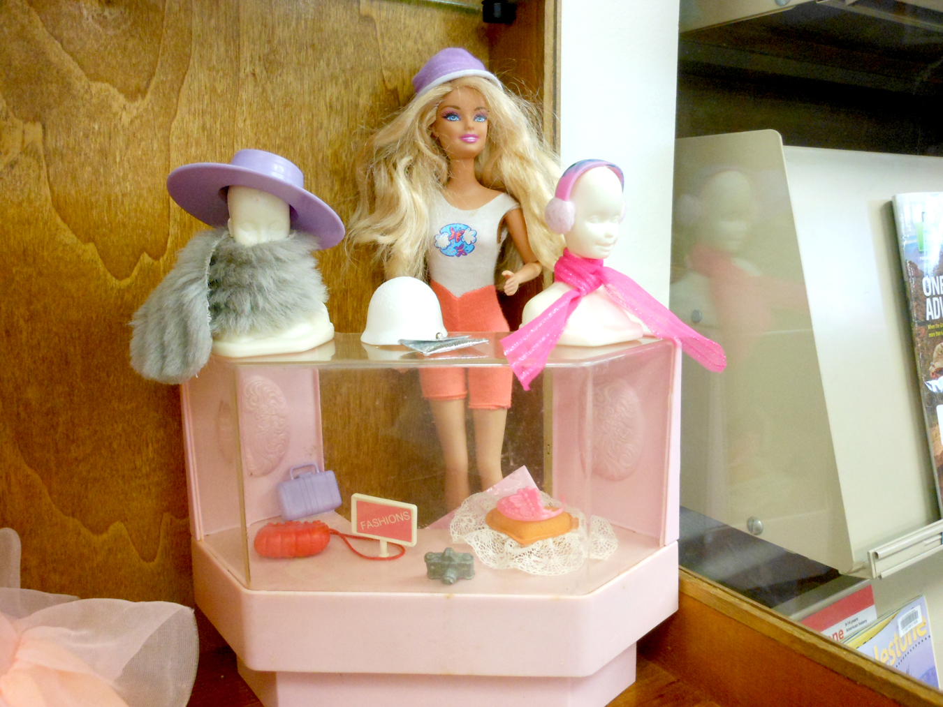 Hobbies on Display: May 2016 - Delaney's Barbie Display