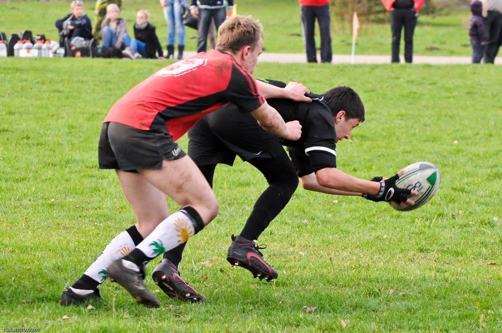 Regbijs Jelgavas stilā